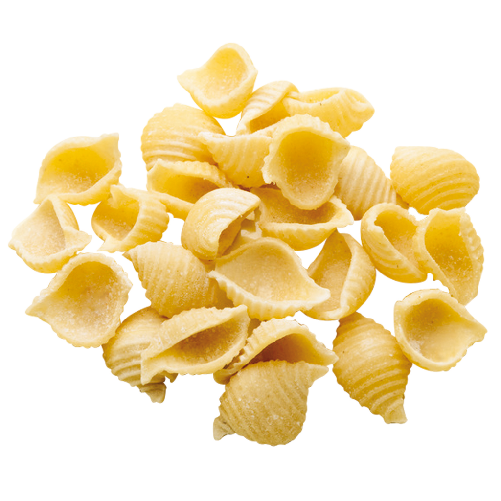 Cucina Della Cucina | Pasta - Conchigle ~ Cucina Della Cucina ~ Gourmet ...